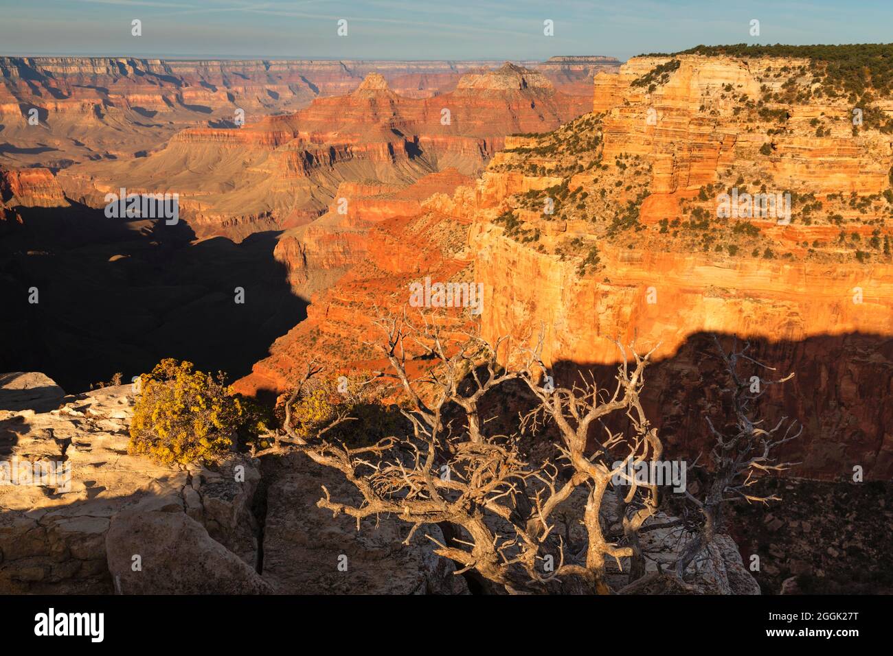 View from Cape Royal, North Rim, Grand Canyon National Park, Arizona ...