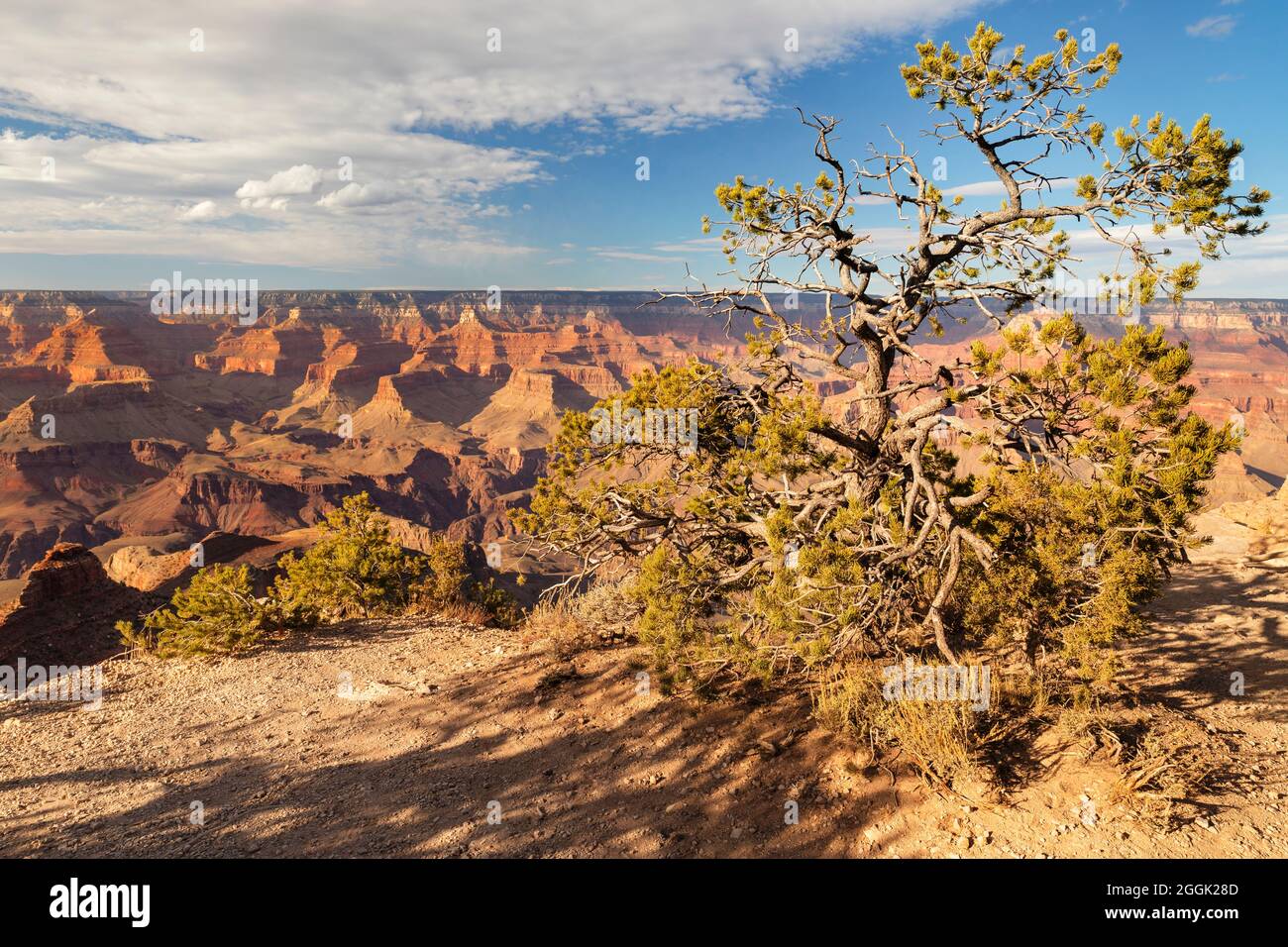 View from Grandview Point, South Rim, Grand Canyon National Park ...