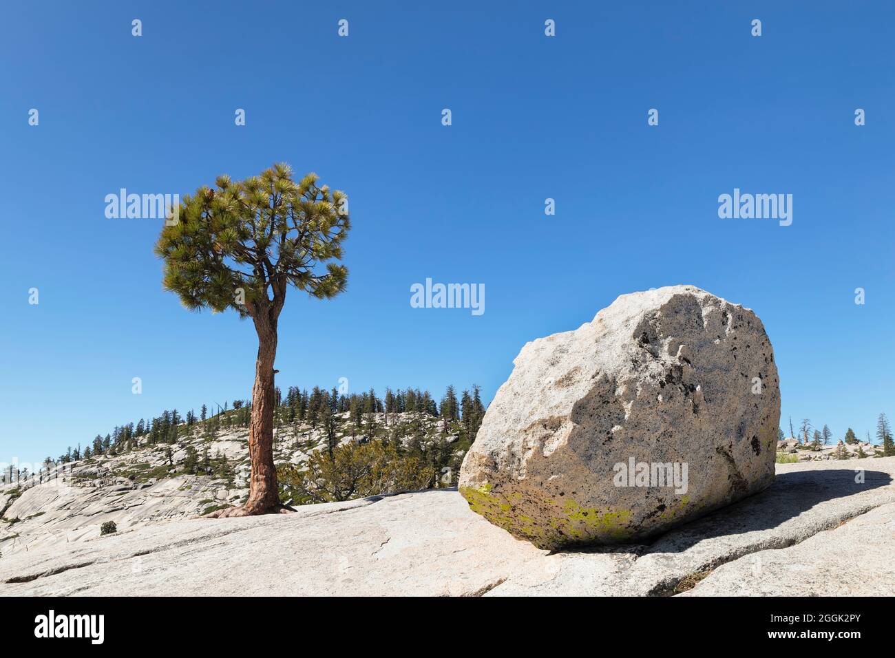 Olmsted Point, Yosemite National Park, California, United States, USA ...
