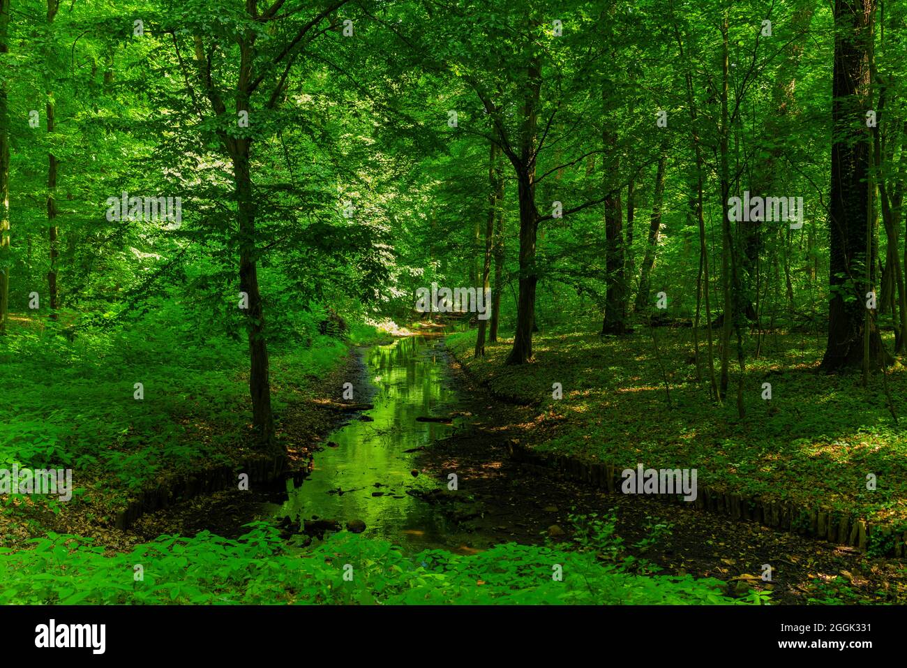 Strong river hi-res stock photography and images - Alamy