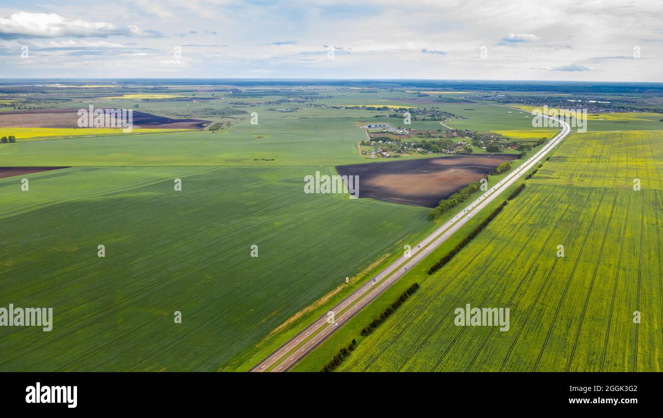 Top view of the sown green in Belarus.Agriculture in Belarus.Texture ...