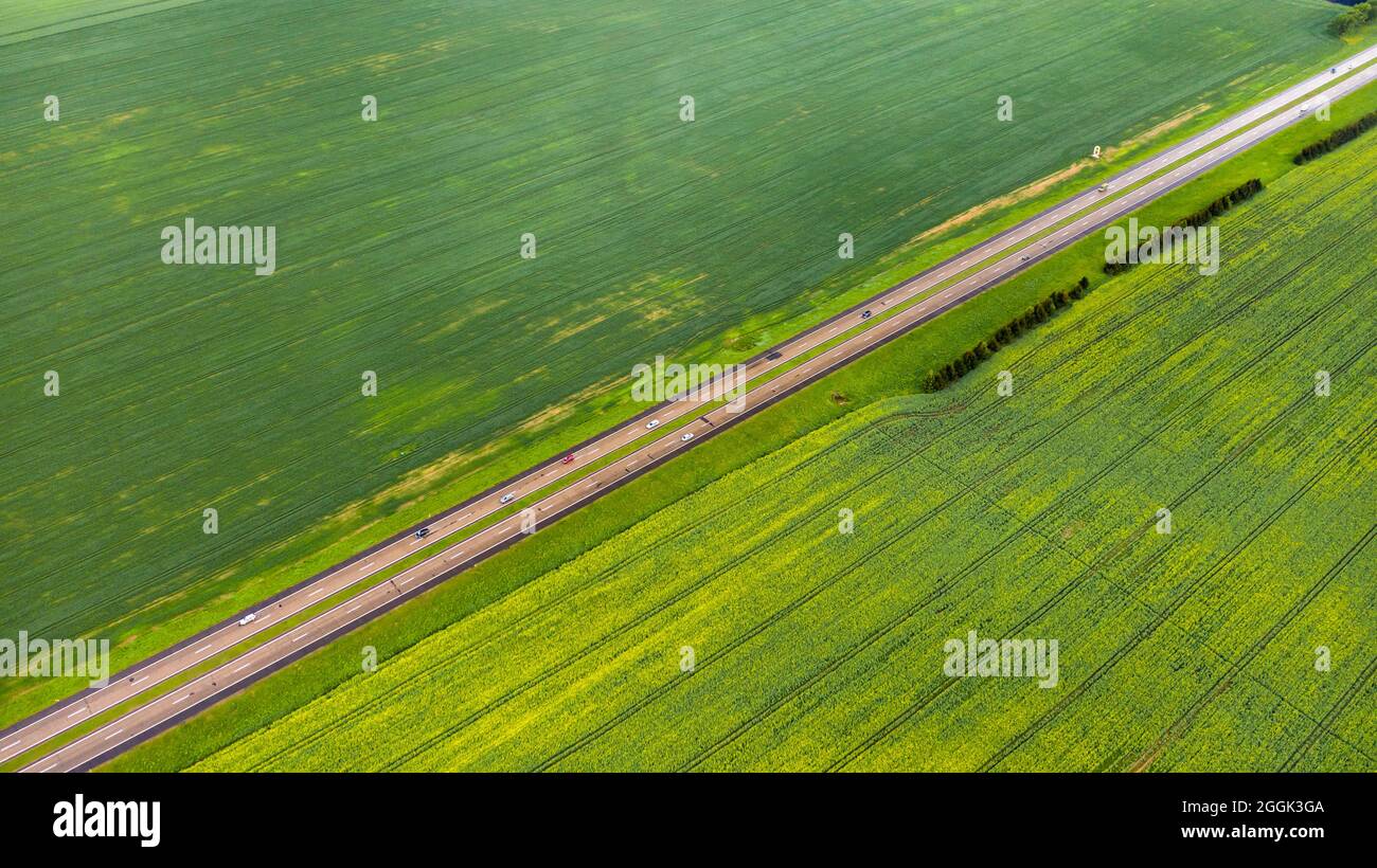 Top view of the sown green in Belarus.Agriculture in Belarus.Texture ...