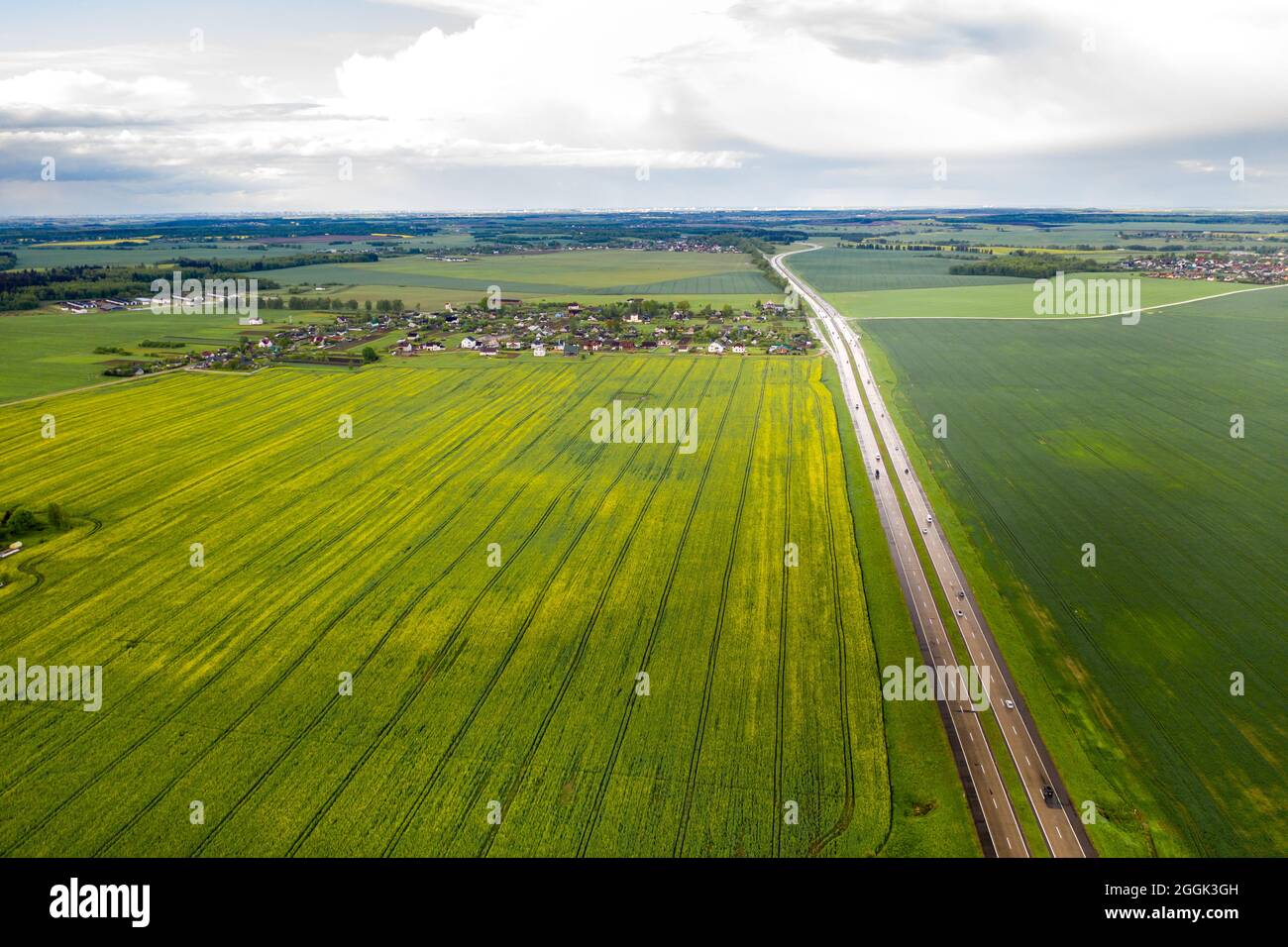 Top view of the sown green in Belarus.Agriculture in Belarus.Texture ...