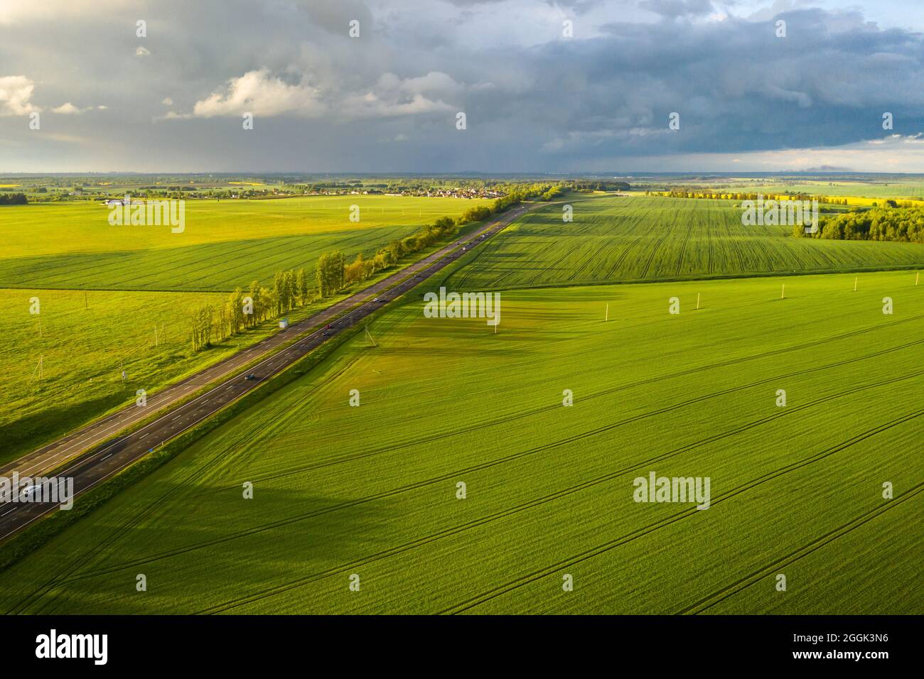 Top view of the sown green in Belarus.Agriculture in Belarus.Texture ...