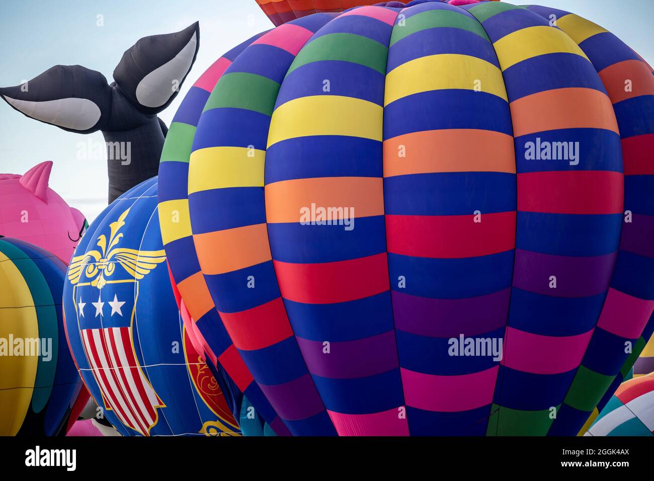 Special shapes balloons at the albuquerque international balloon fiesta ...