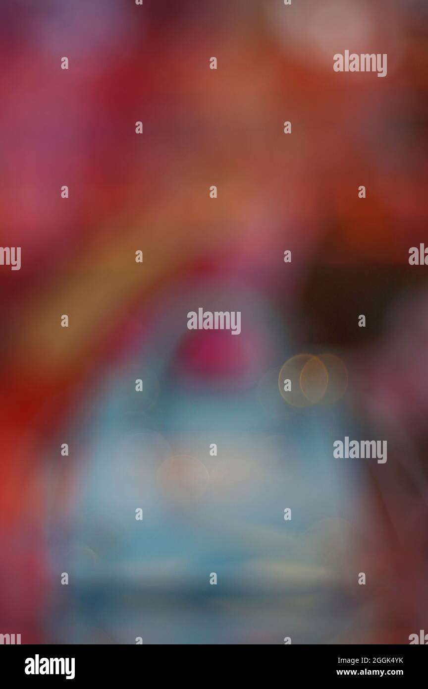 Cryptically colored hi-res stock photography and images - Alamy