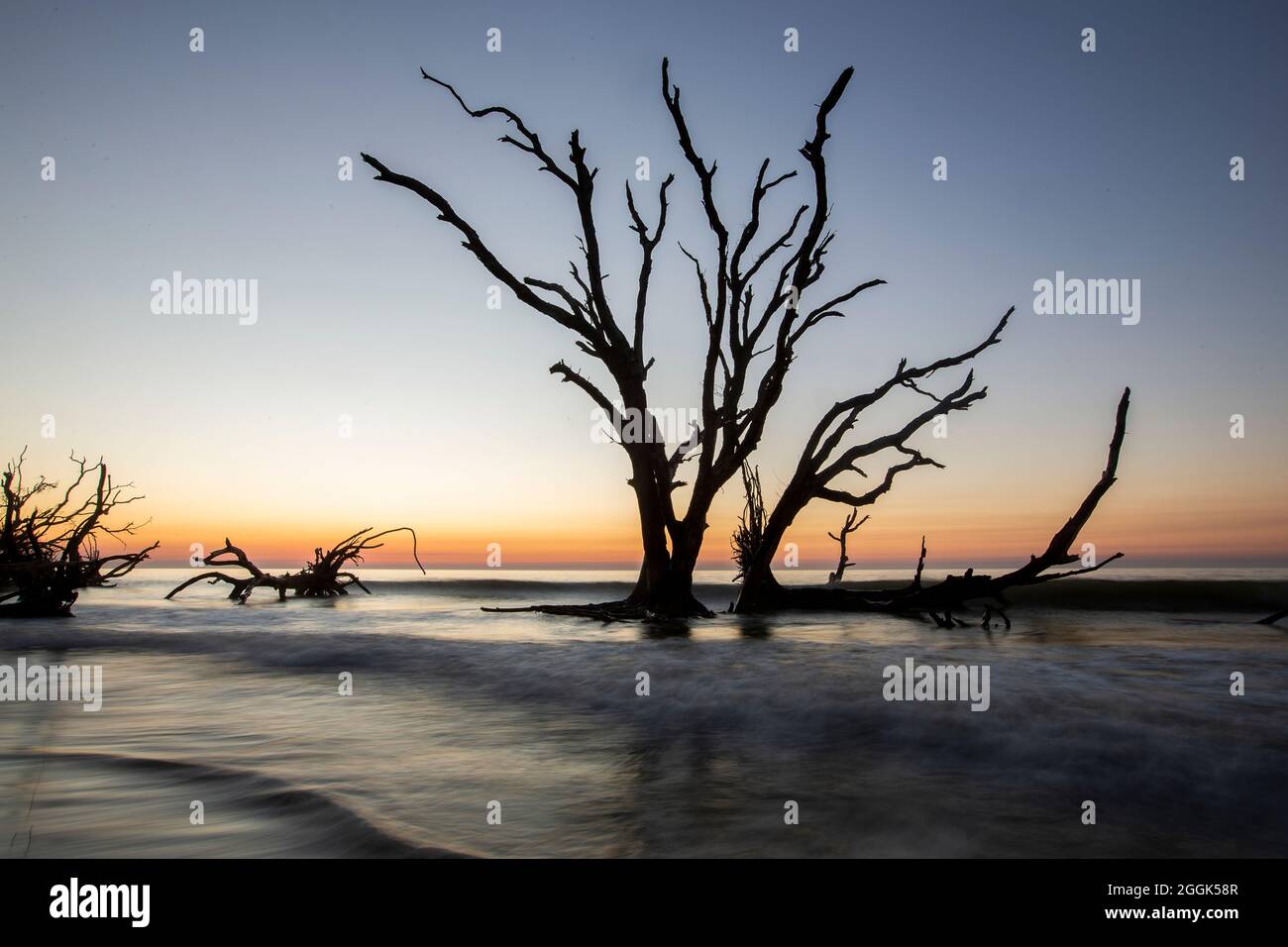 Botany Bay Plantation in Edisto Island, South Carolina Stock Photo - Alamy