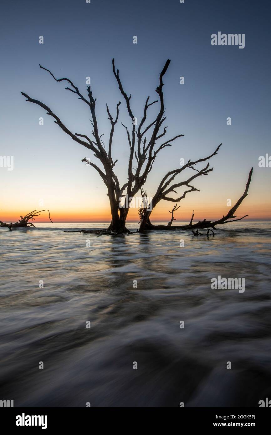 Botany Bay Plantation in Edisto Island, South Carolina Stock Photo - Alamy