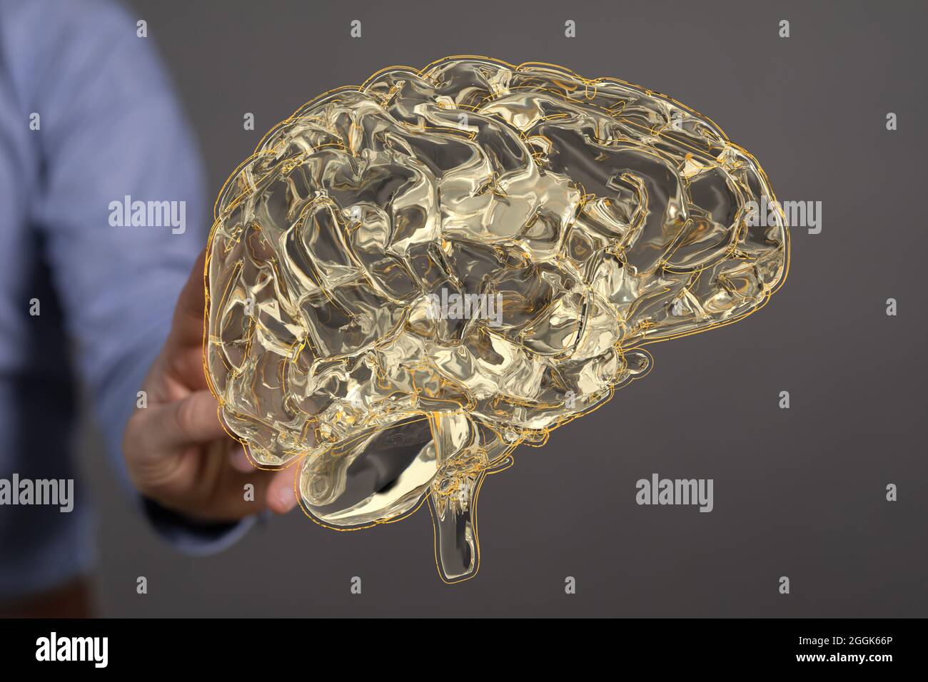 Hand touching a 3D rendering of a floating human brain Stock Photo - Alamy