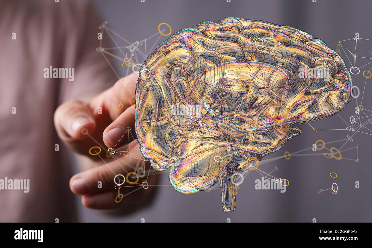 Hand touching a 3D rendering of a floating human brain Stock Photo - Alamy