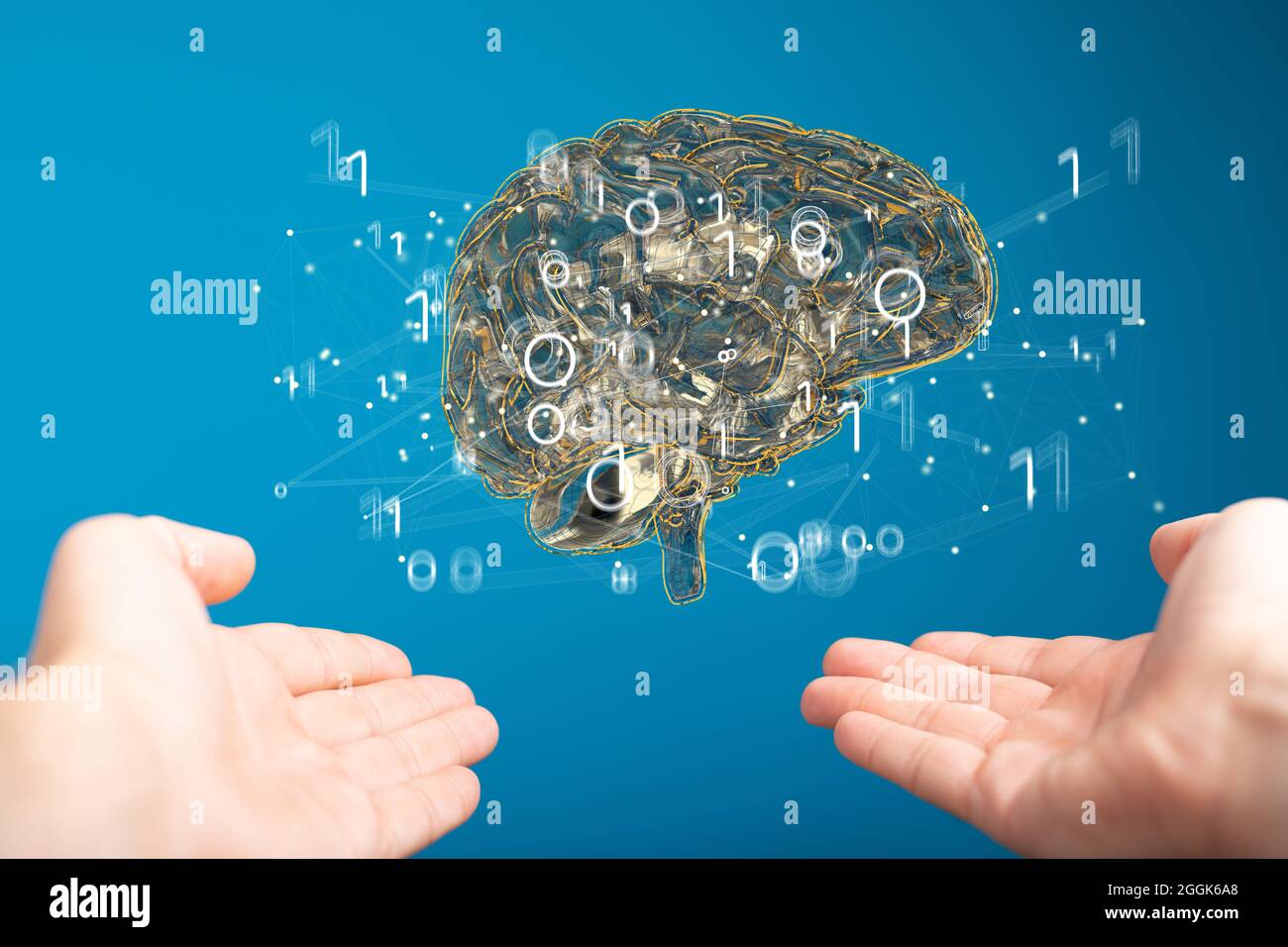 3D rendering of a floating human brain above hands Stock Photo - Alamy