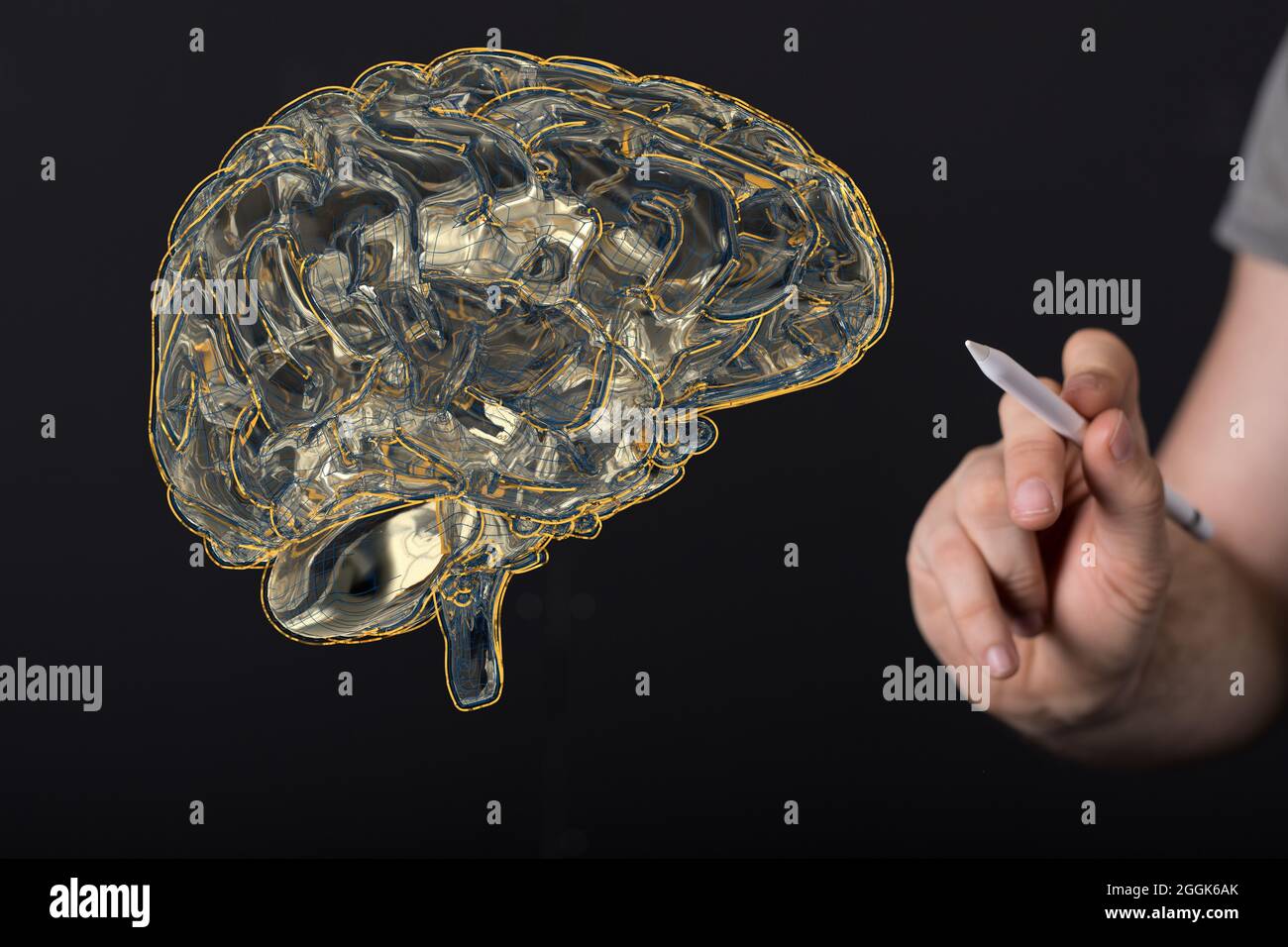 Hand with a pencil touching a 3D rendering of a floating human brain ...