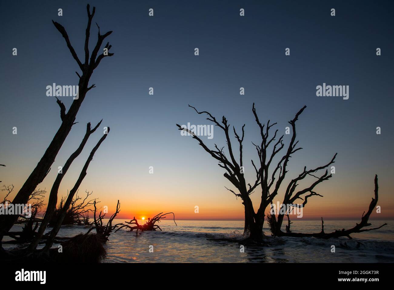 Botany Bay Plantation in Edisto Island, South Carolina Stock Photo - Alamy