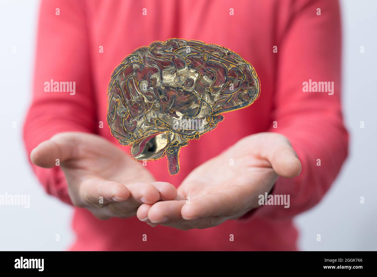 3D rendering of a floating human brain above hands Stock Photo - Alamy