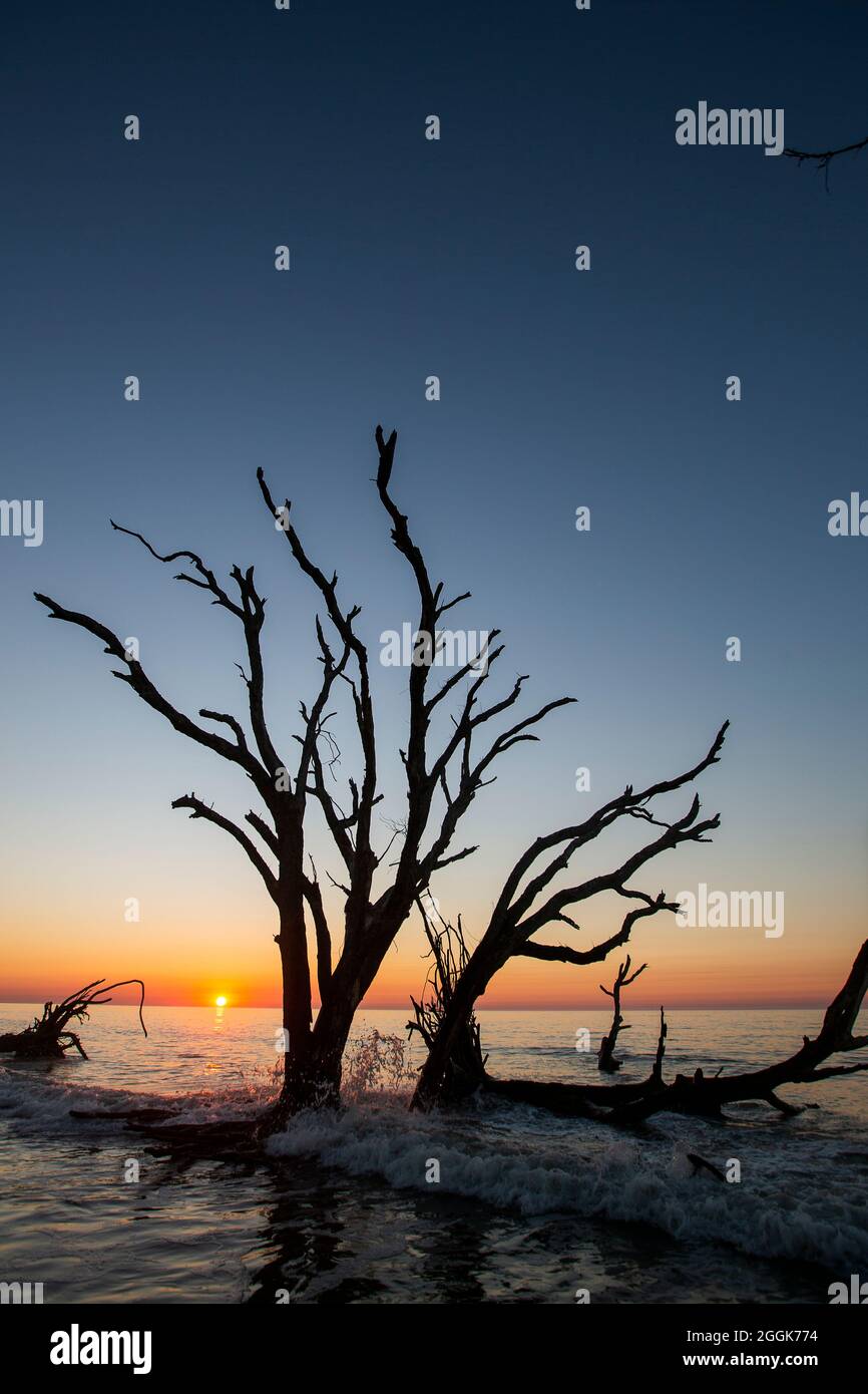 Botany Bay Plantation in Edisto Island, South Carolina Stock Photo - Alamy