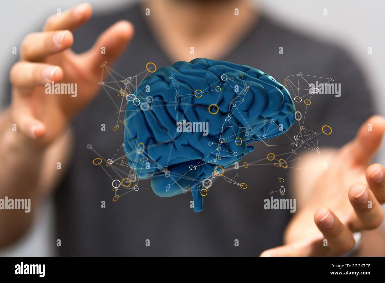 Floating 3D human brain between hands Stock Photo - Alamy