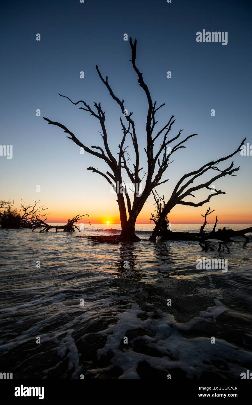 Botany Bay Plantation in Edisto Island, South Carolina Stock Photo - Alamy