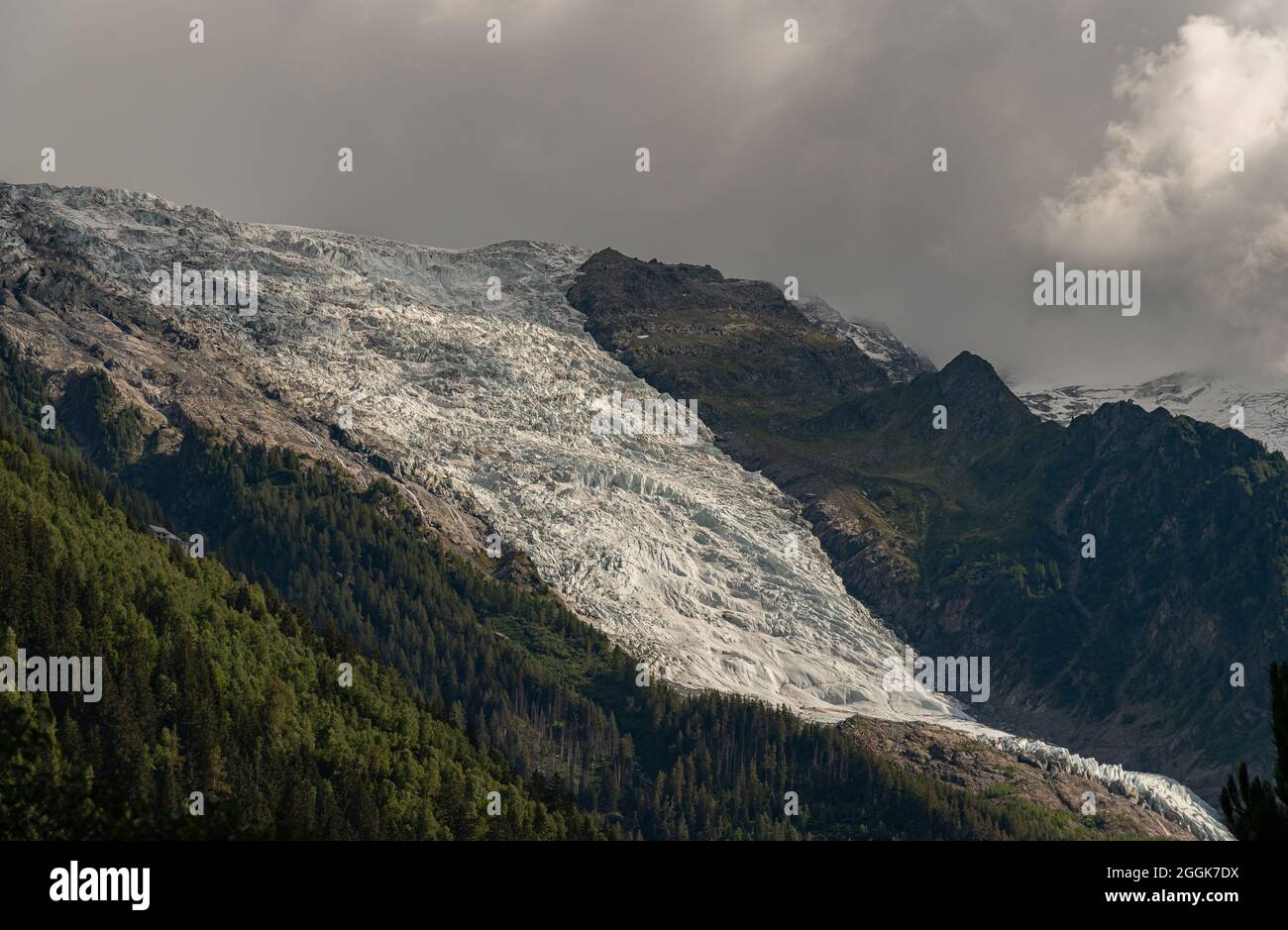 Chamonix Mont Blanc. Bossons Glacier. Glimpses of summer Stock Photo ...