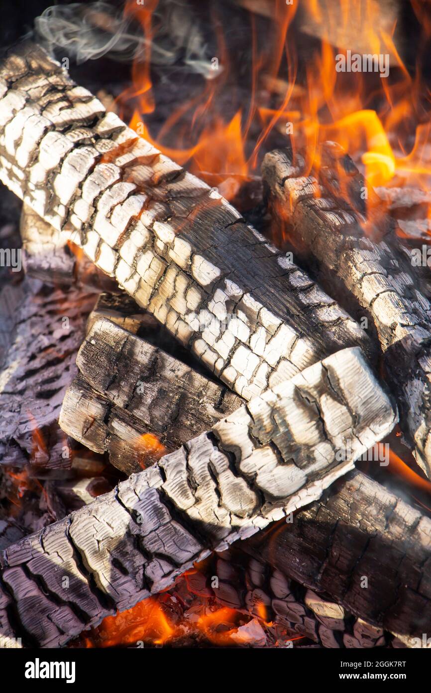A burning log of a tree in close-up as an abstract background. The hot ...