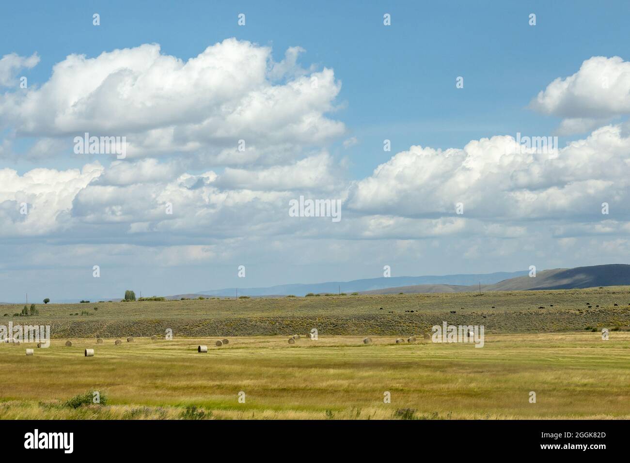 Colorado Landscape: Fields Stock Photo - Alamy