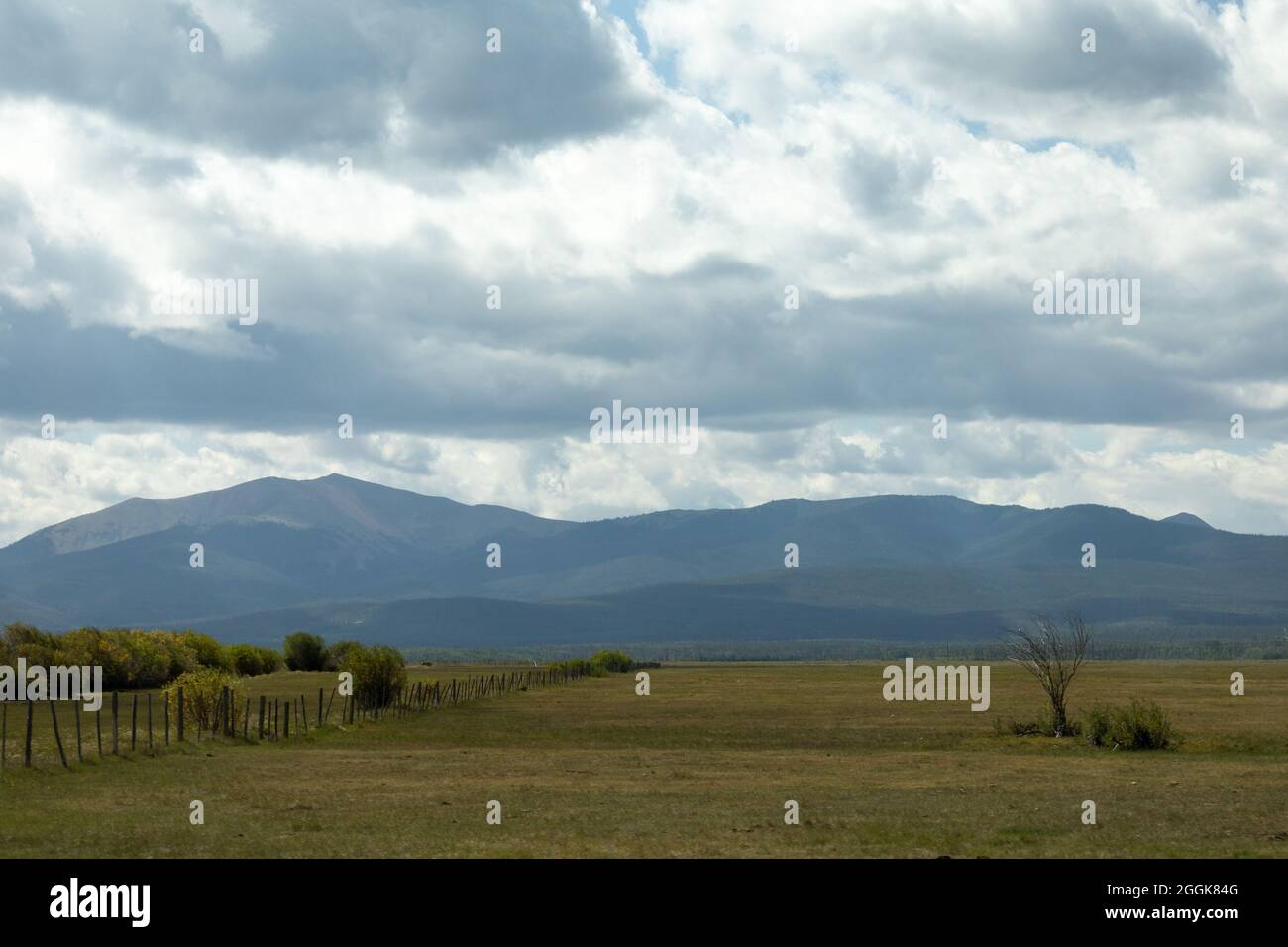 Americas prairie land hi-res stock photography and images - Alamy