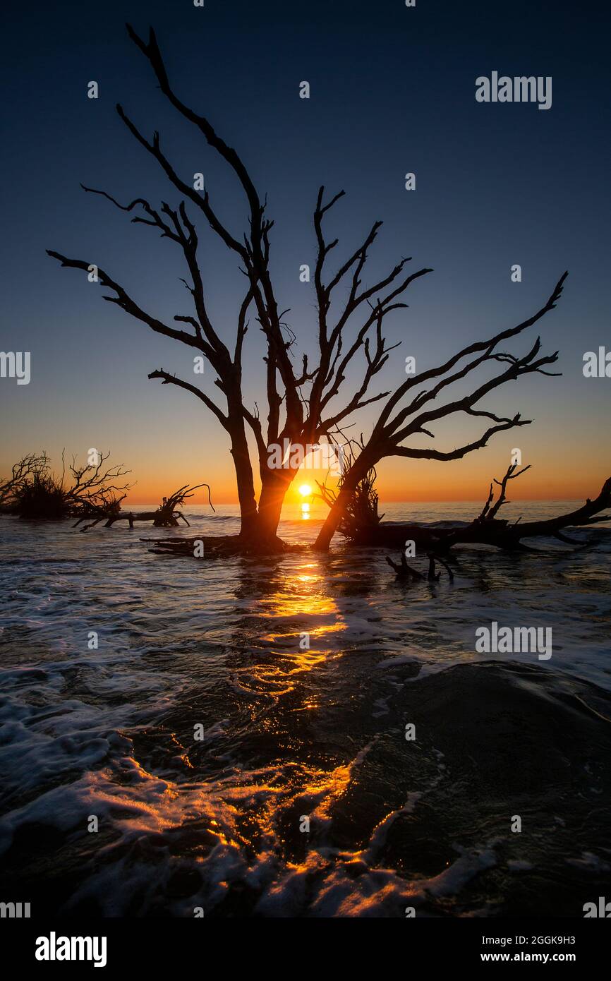 Botany Bay Plantation in Edisto Island, South Carolina Stock Photo - Alamy