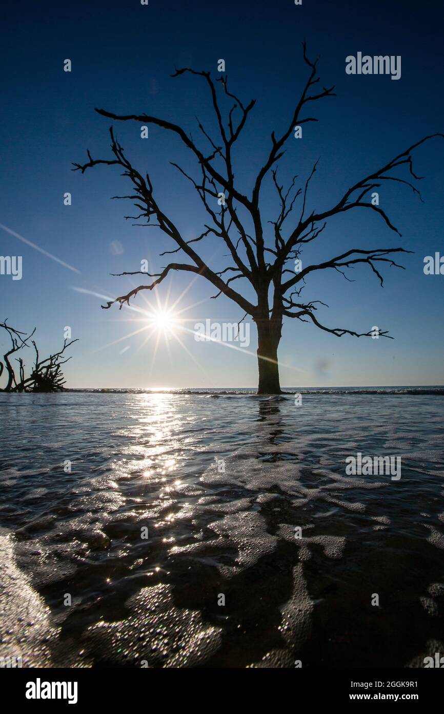 Botany Bay Plantation in Edisto Island, South Carolina Stock Photo - Alamy