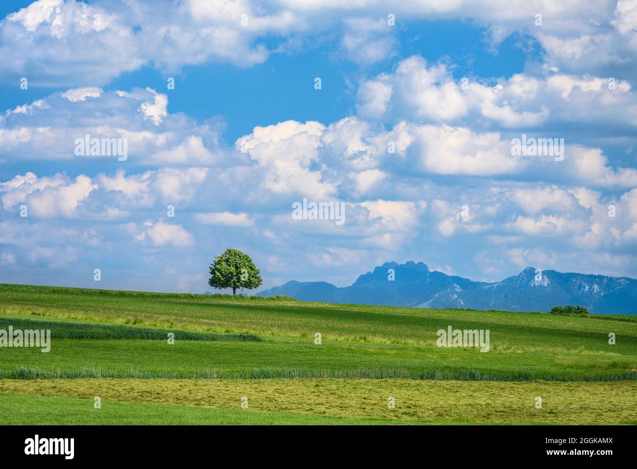 Germany, Bavaria, Upper Bavaria, district of Rosenheim, Bad Aibling ...