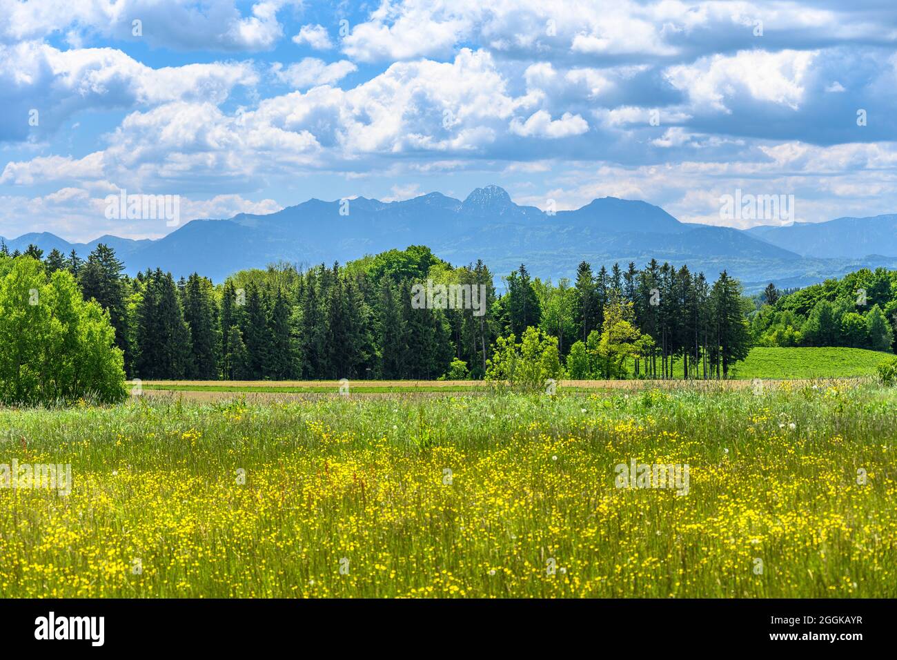Germany, Bavaria, Upper Bavaria, Ebersberg district, Baiern, district ...