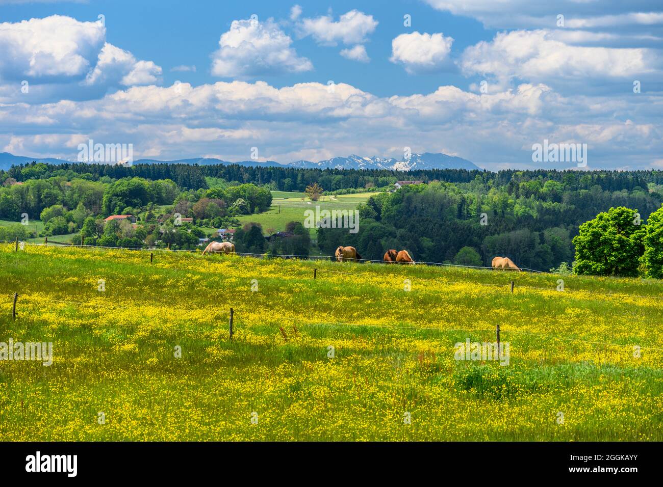 Glonn valley hi-res stock photography and images - Alamy