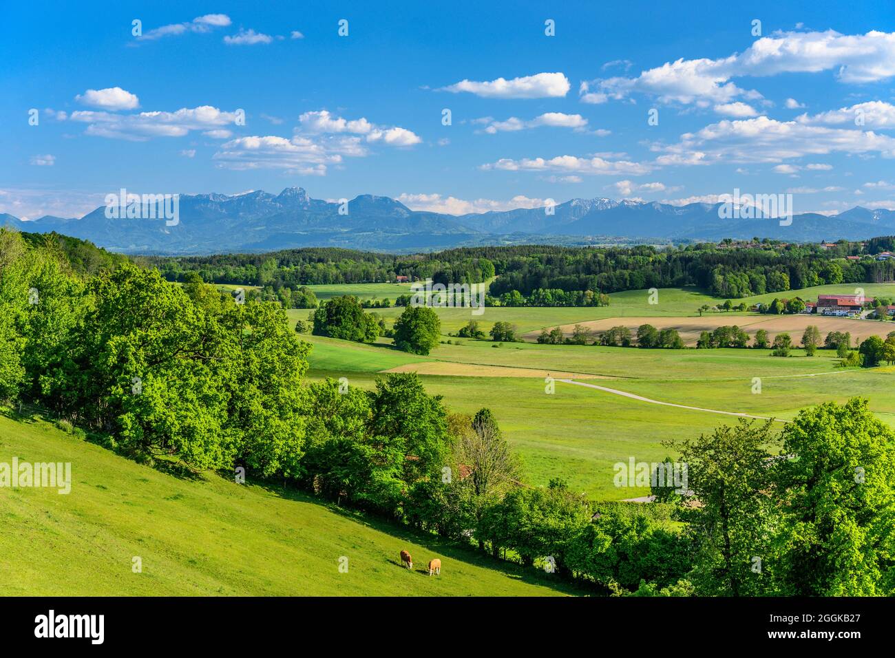 Germany, Bavaria, Upper Bavaria, district Ebersberg, Baiern, district ...
