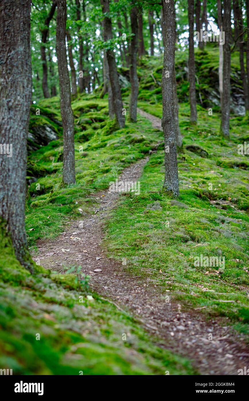 Silent environment hi-res stock photography and images - Alamy
