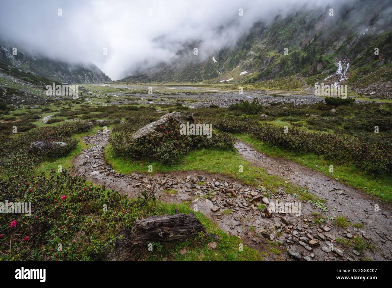 Summer view of alpine mountain valley with winding stream and glacial lake. Sulzenau Alm, Stubai ...