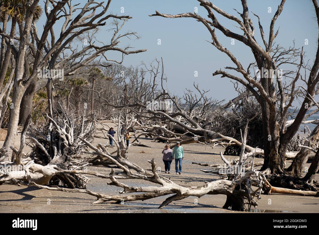 Botany Bay Plantation in Edisto Island, South Carolina Stock Photo - Alamy