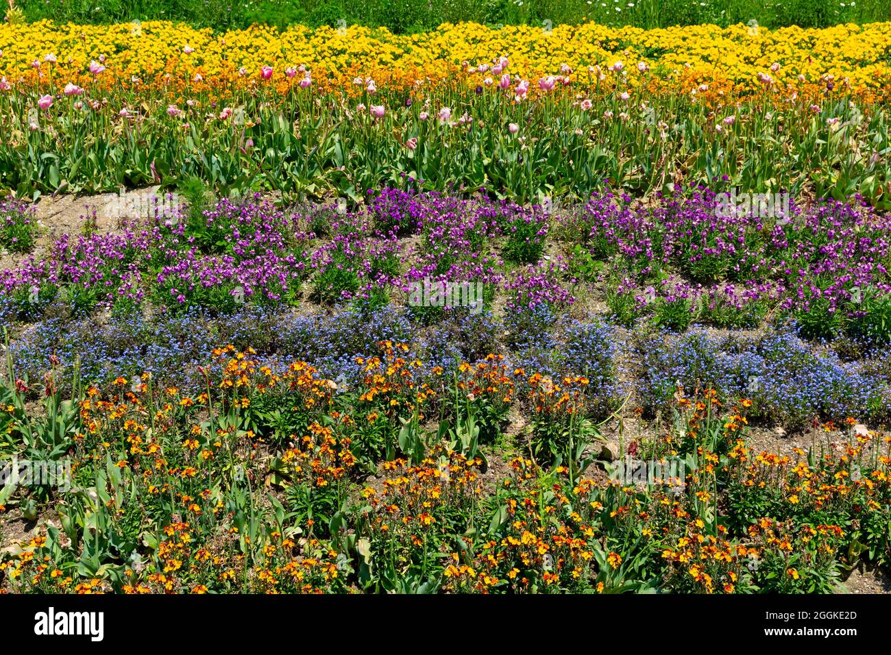Raised beds with colorful flowers, Inspiration Nature, State Garden ...