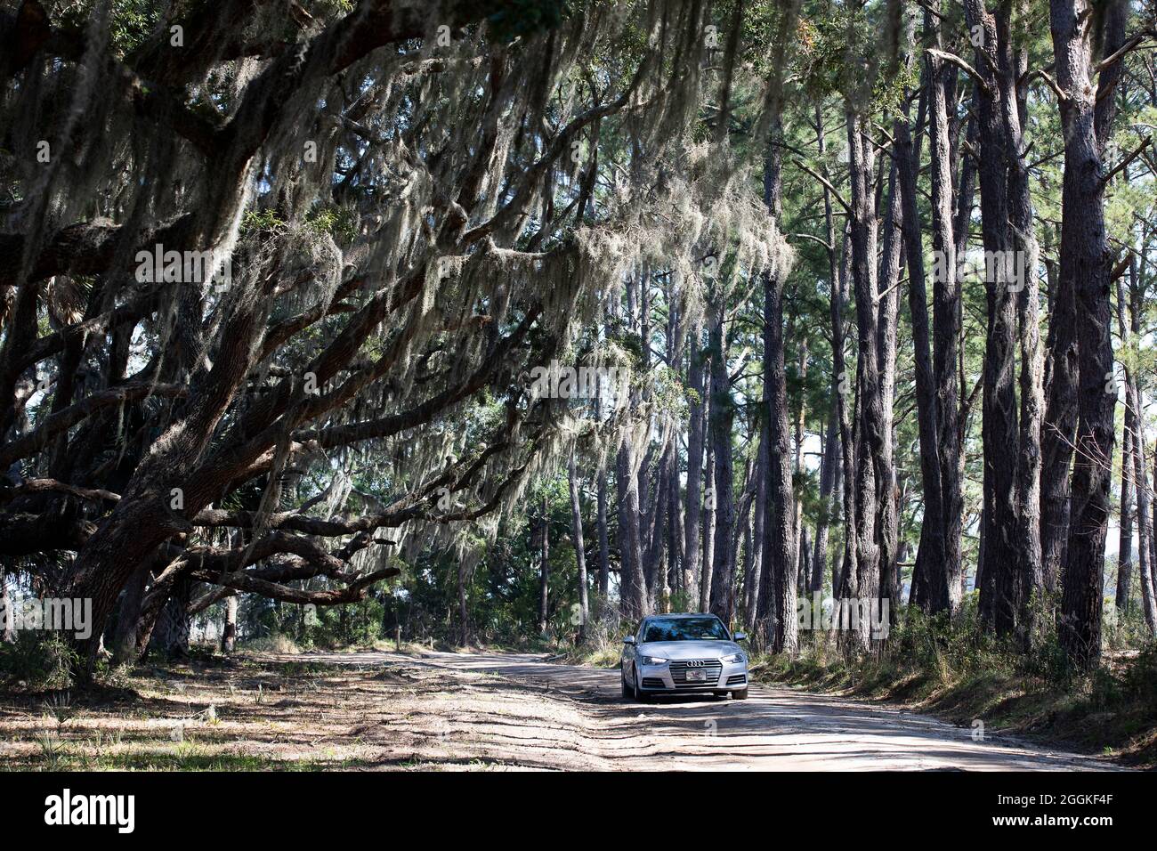 Botany Bay Plantation in Edisto Island, South Carolina Stock Photo - Alamy