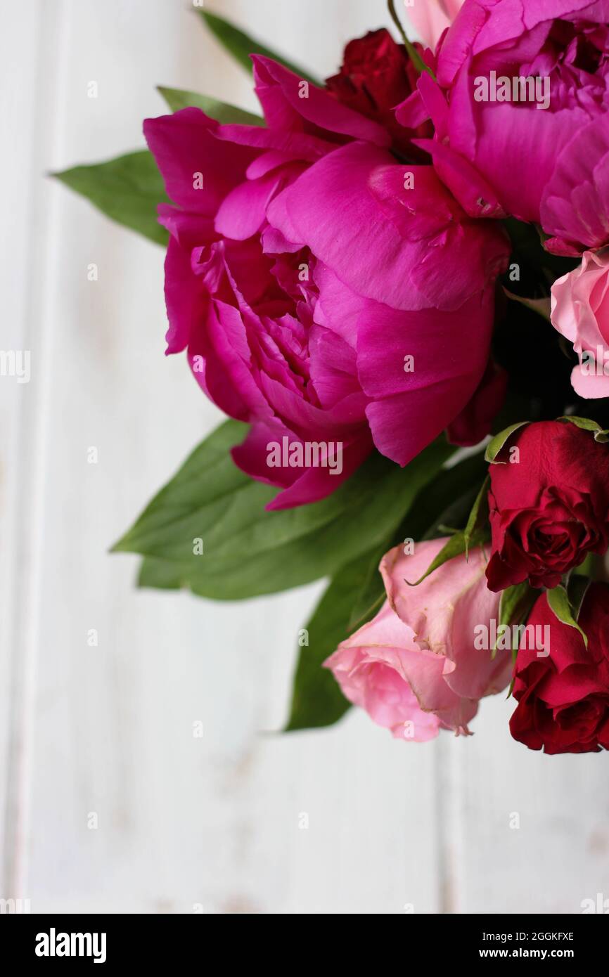 Flourishing pink roses and peonies hi-res stock photography and images ...