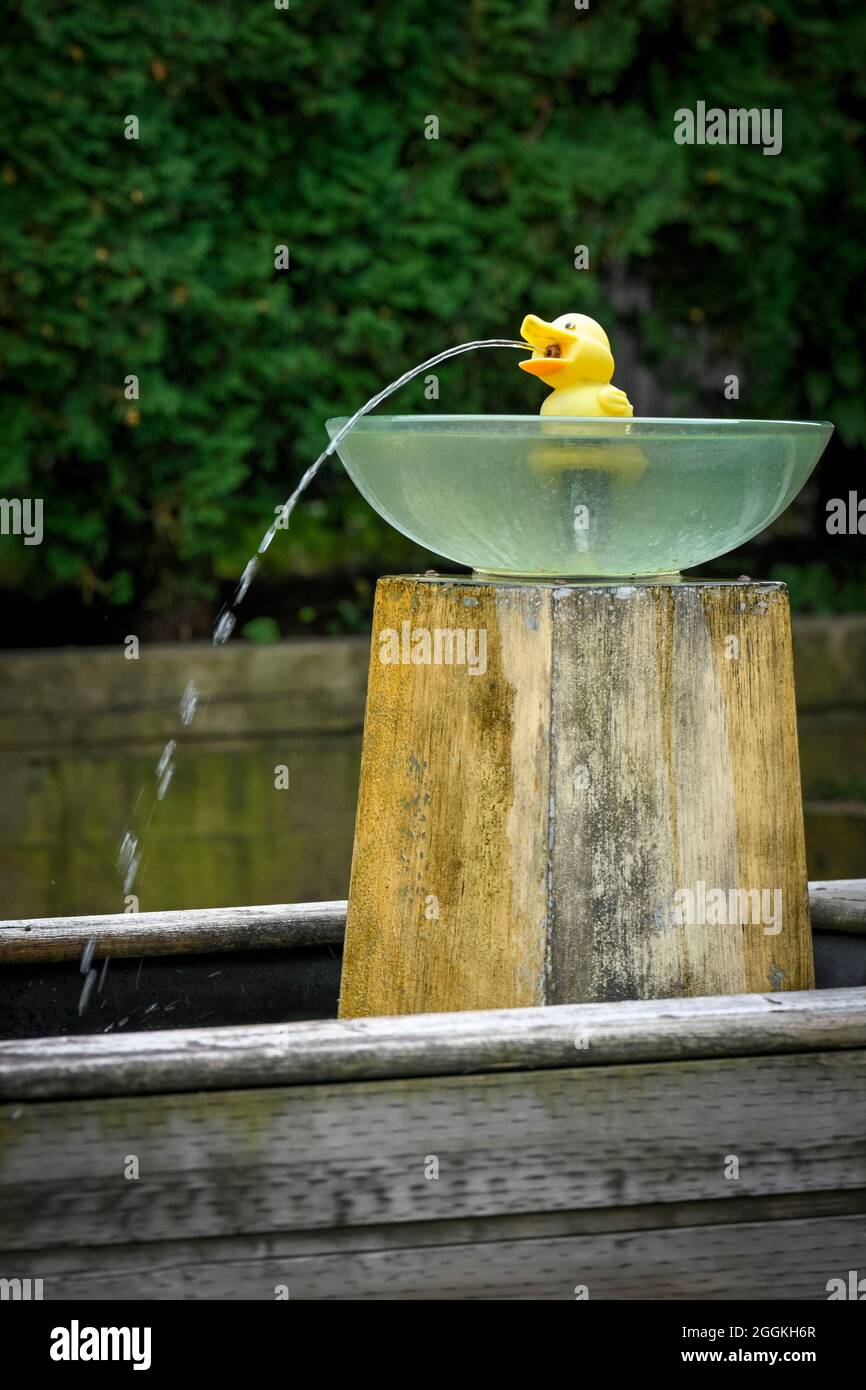 rubber duck fountain Stock Photo - Alamy