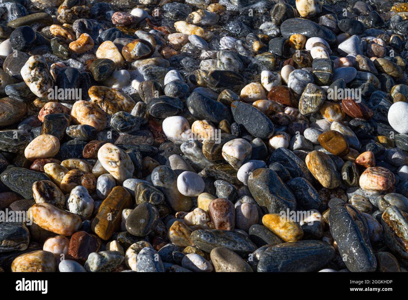 Smooth colorful wet pebble stones background on the beach Stock Photo ...