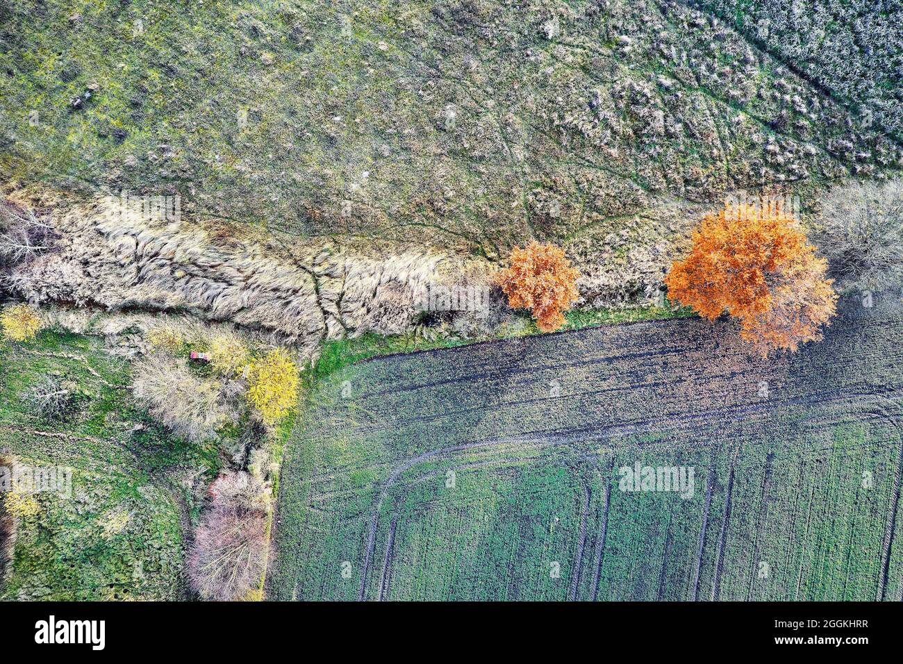 Ecology, land use, natural areas in autumn, close to nature, aerial ...