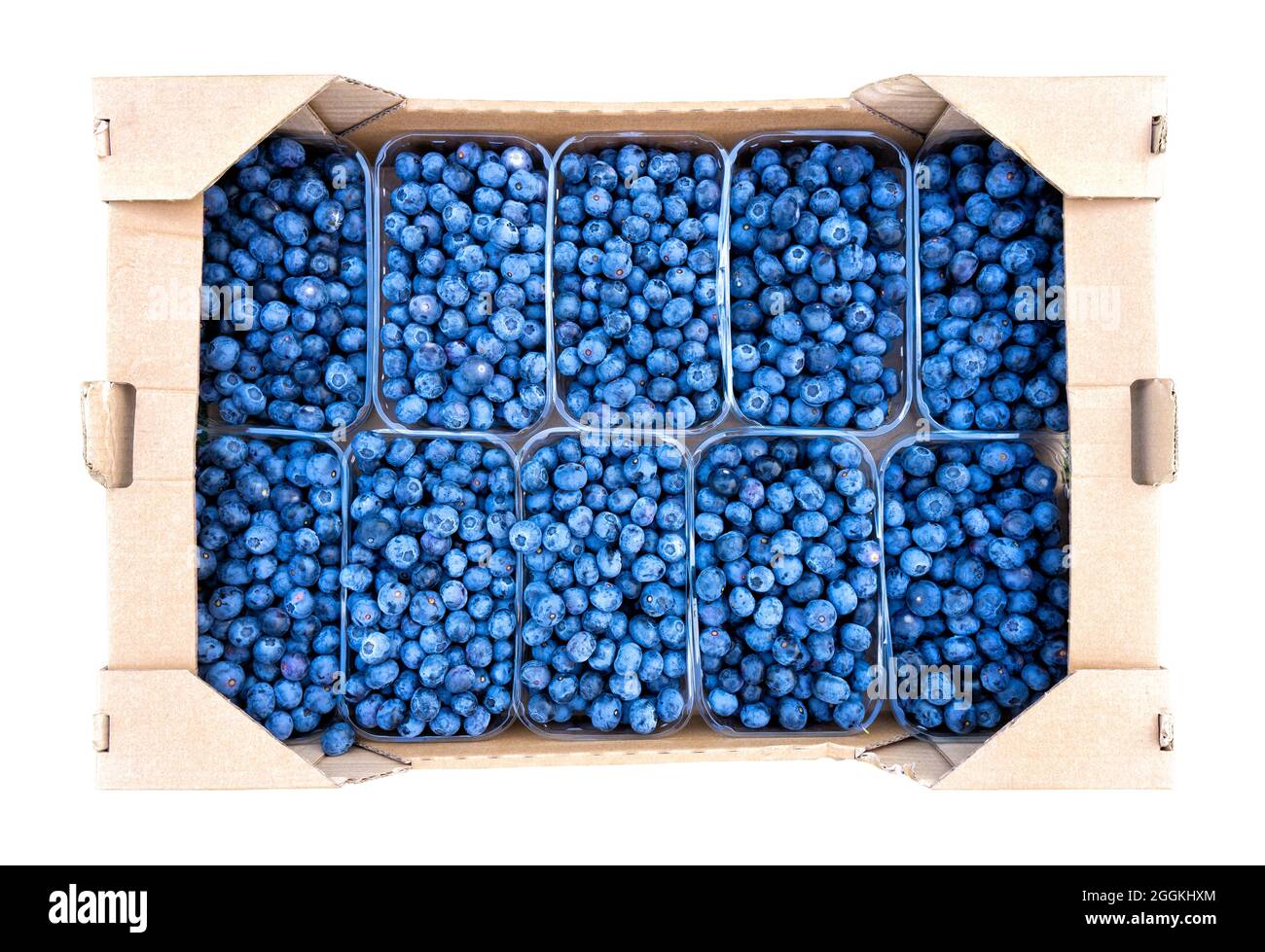 Shipping box with handpicked blueberries in plastic containers ready ...