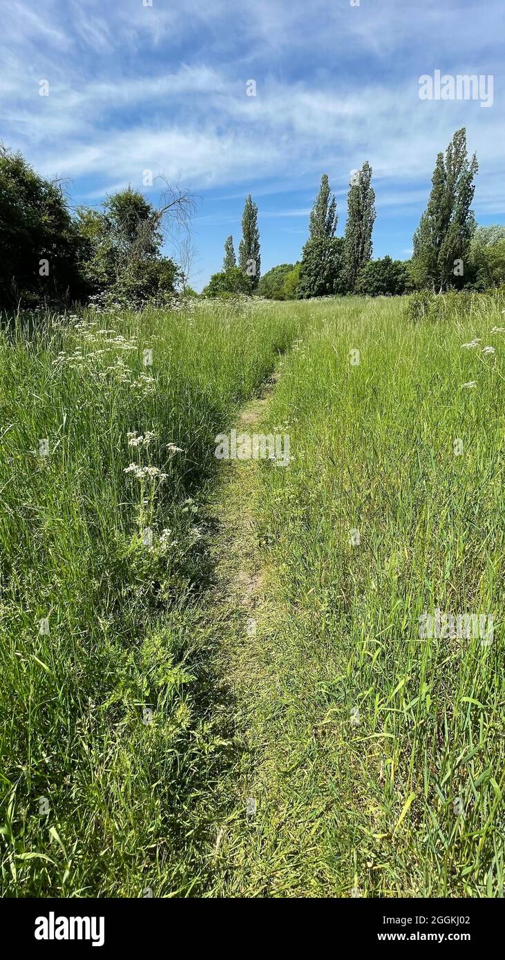 Hiking Trail In Berlin Pankow District Of Buch Stock Photo Alamy hiking-trail-in-berlin-pankow-district-of-buch-stock-photo-alamy