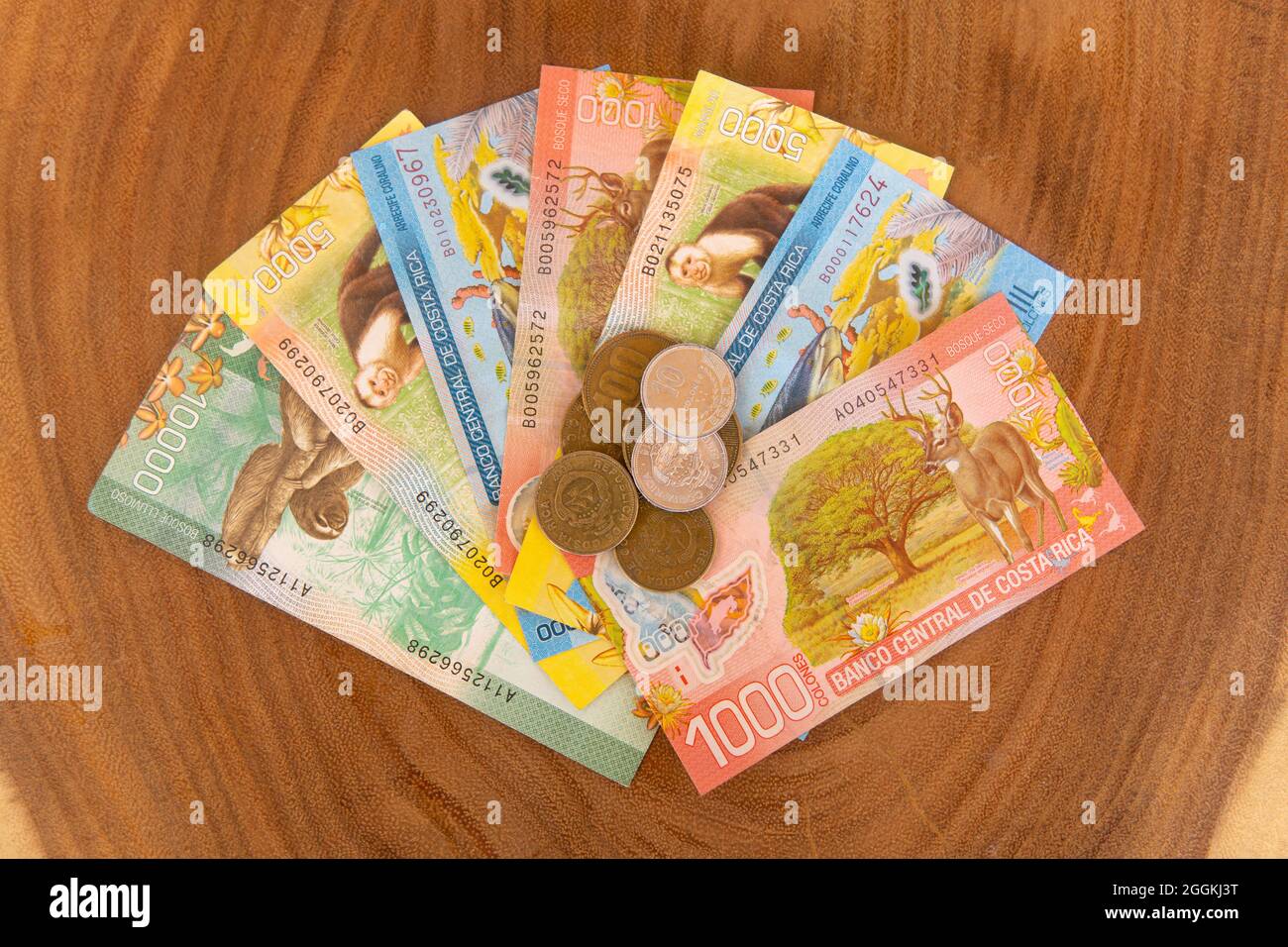 Costa rican currency colones hi-res stock photography and images - Alamy