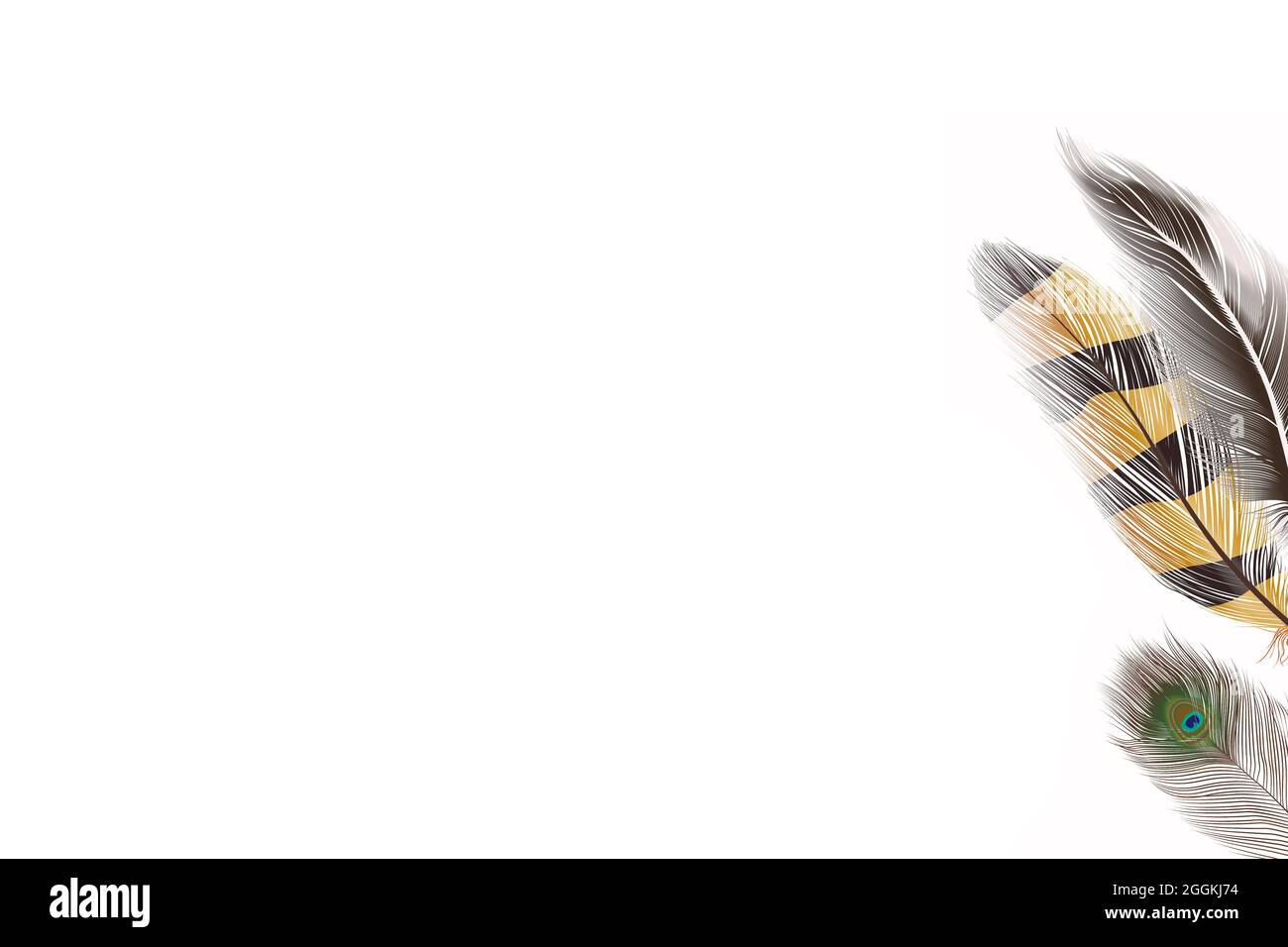 Beautiful bird frame hi-res stock photography and images - Alamy