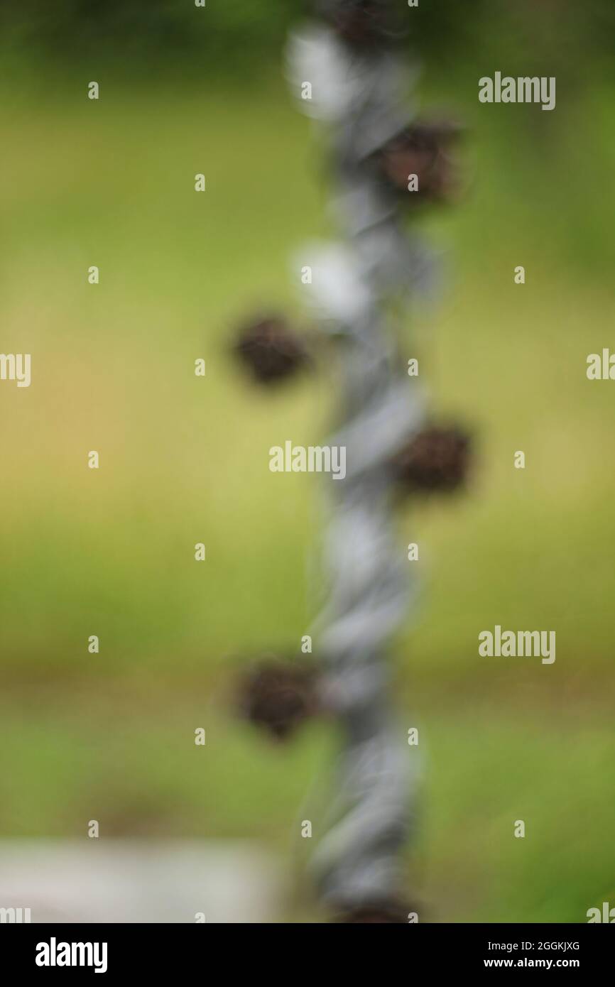 Shapes and lines / wreath of thorns Stock Photo - Alamy