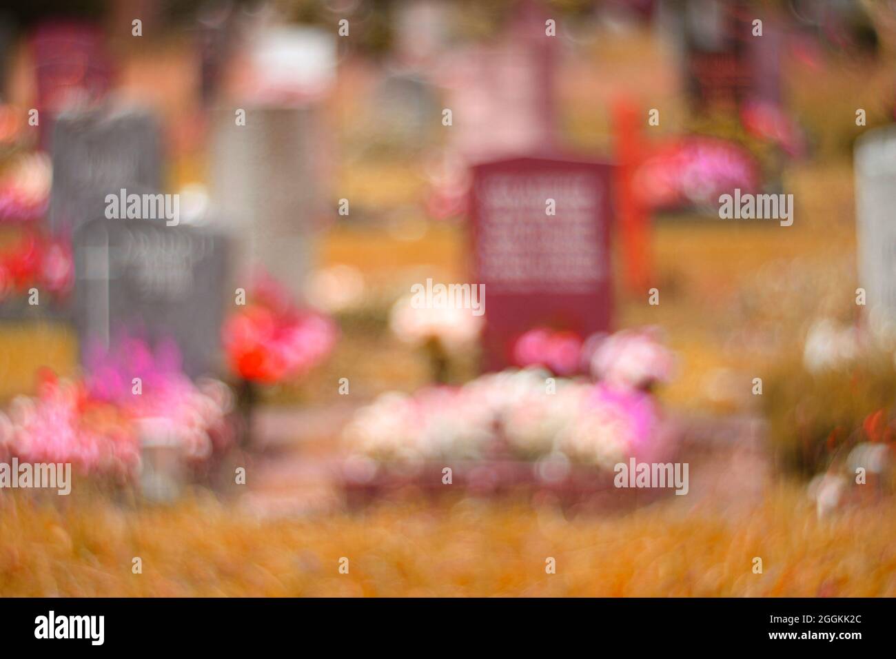 Cemetery in Pink / Flowerpower funeral Stock Photo - Alamy