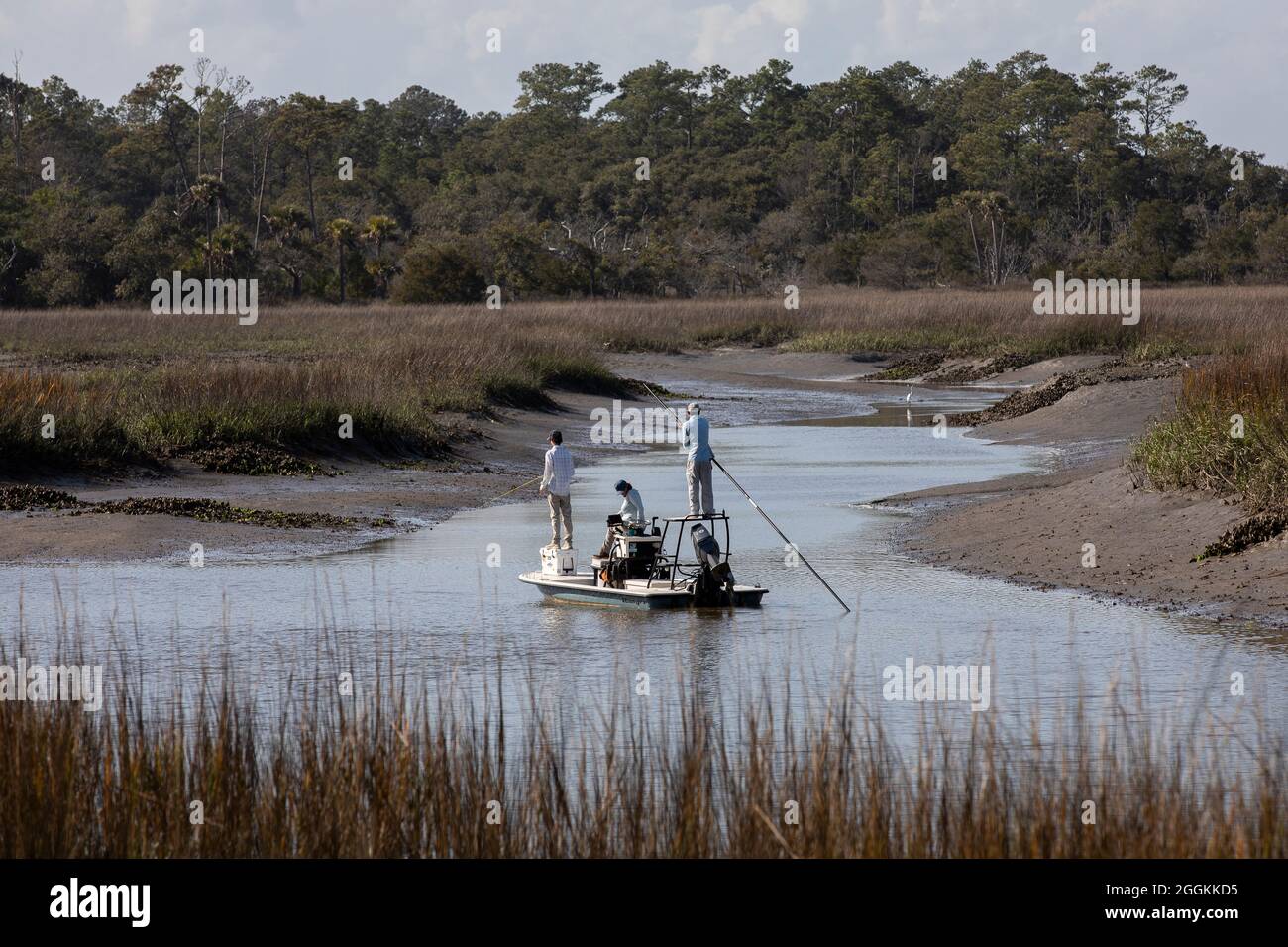 Botany Bay Plantation in Edisto Island, South Carolina Stock Photo - Alamy