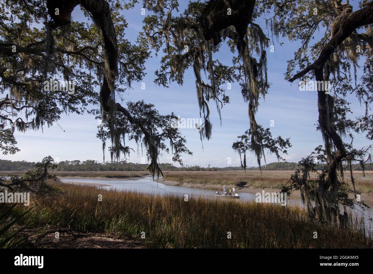 Botany Bay Plantation in Edisto Island, South Carolina Stock Photo - Alamy
