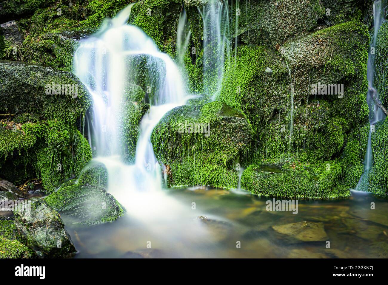 Waterfall, spring water with mossy stones Stock Photo - Alamy