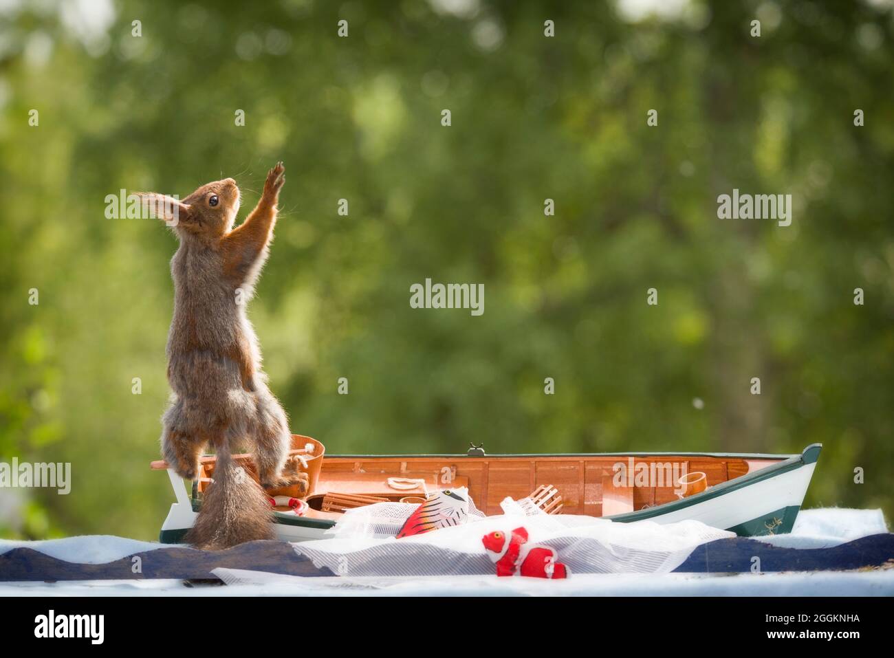 Stand in boat hi-res stock photography and images - Alamy